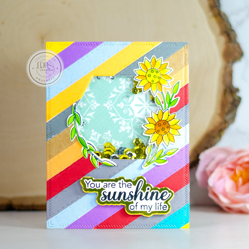 Easy Shaker Card – LDRS Creative