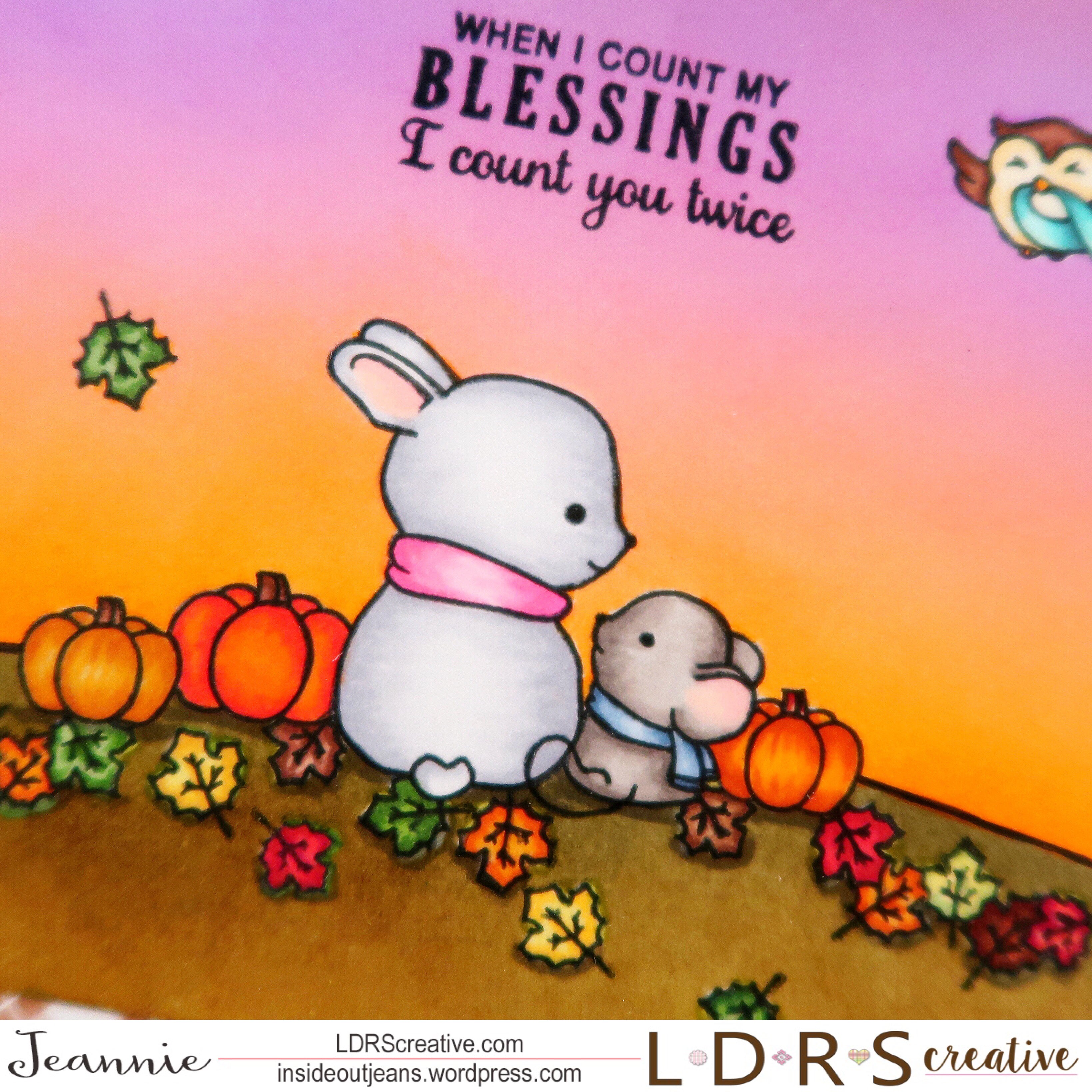 Fall into November – LDRS Creative